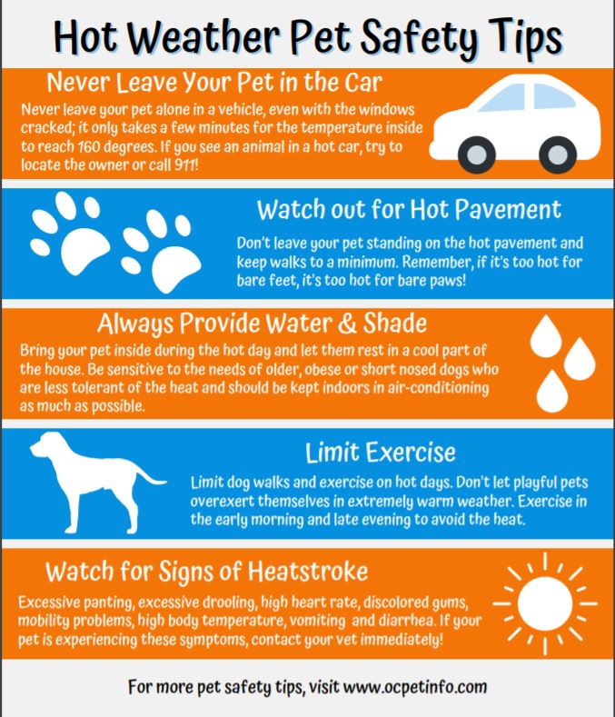 Hot Weather Tips For Pets