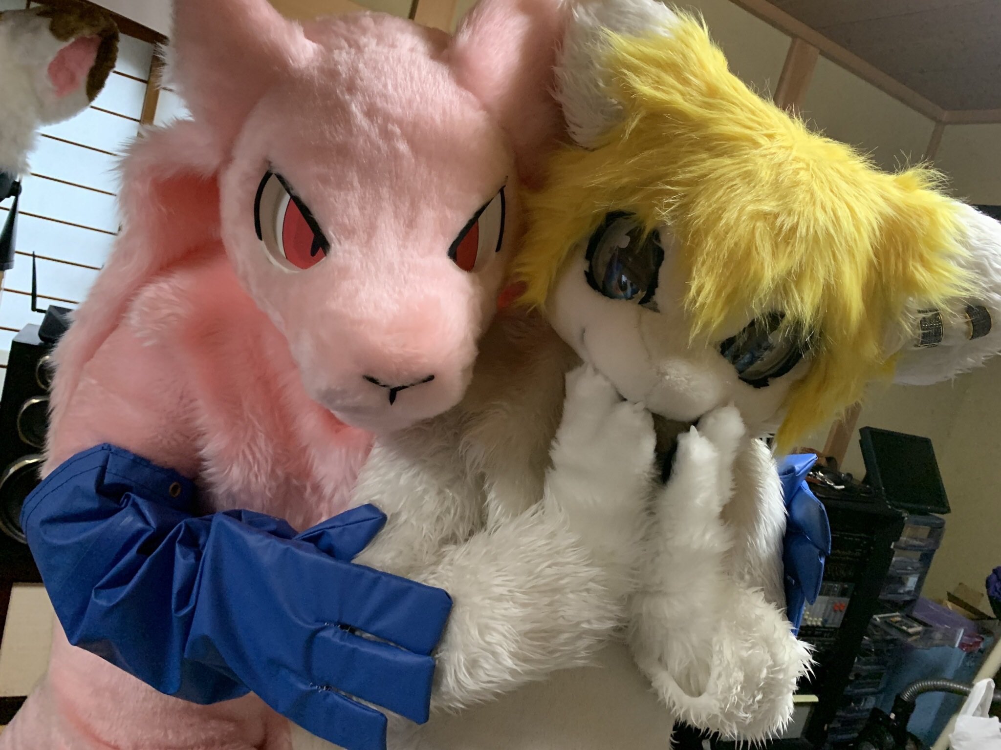 ゆーだい on Twitter: "ﾐｯ #FursuitFriday https://t.co/0Wv7bqDel6" / Twitter