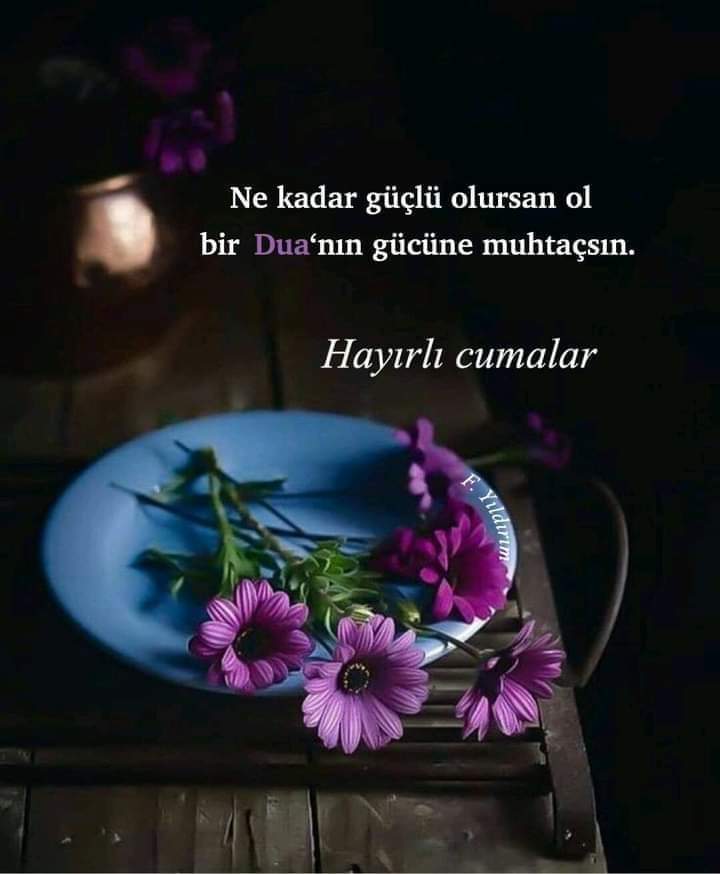 Jack Marli (@MarliJack) | Twitter