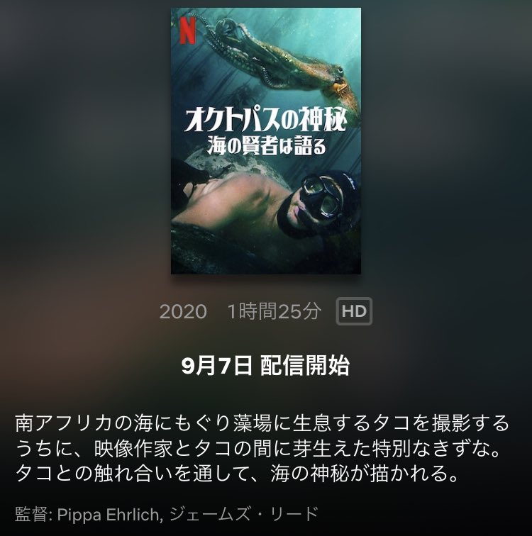 mkhryk on Twitter: "Netflix9月7日配信予定 ドキュメンタリー映画『オクトパスの神秘: 海の賢者は語る』 南アフリカの海にもぐり藻場に生息するタコを撮影するうちに ...