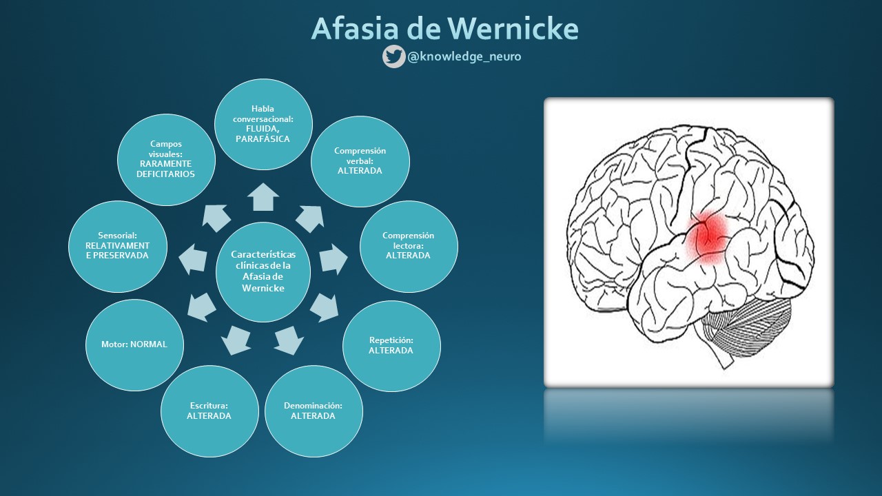 Afasia De Wernicke