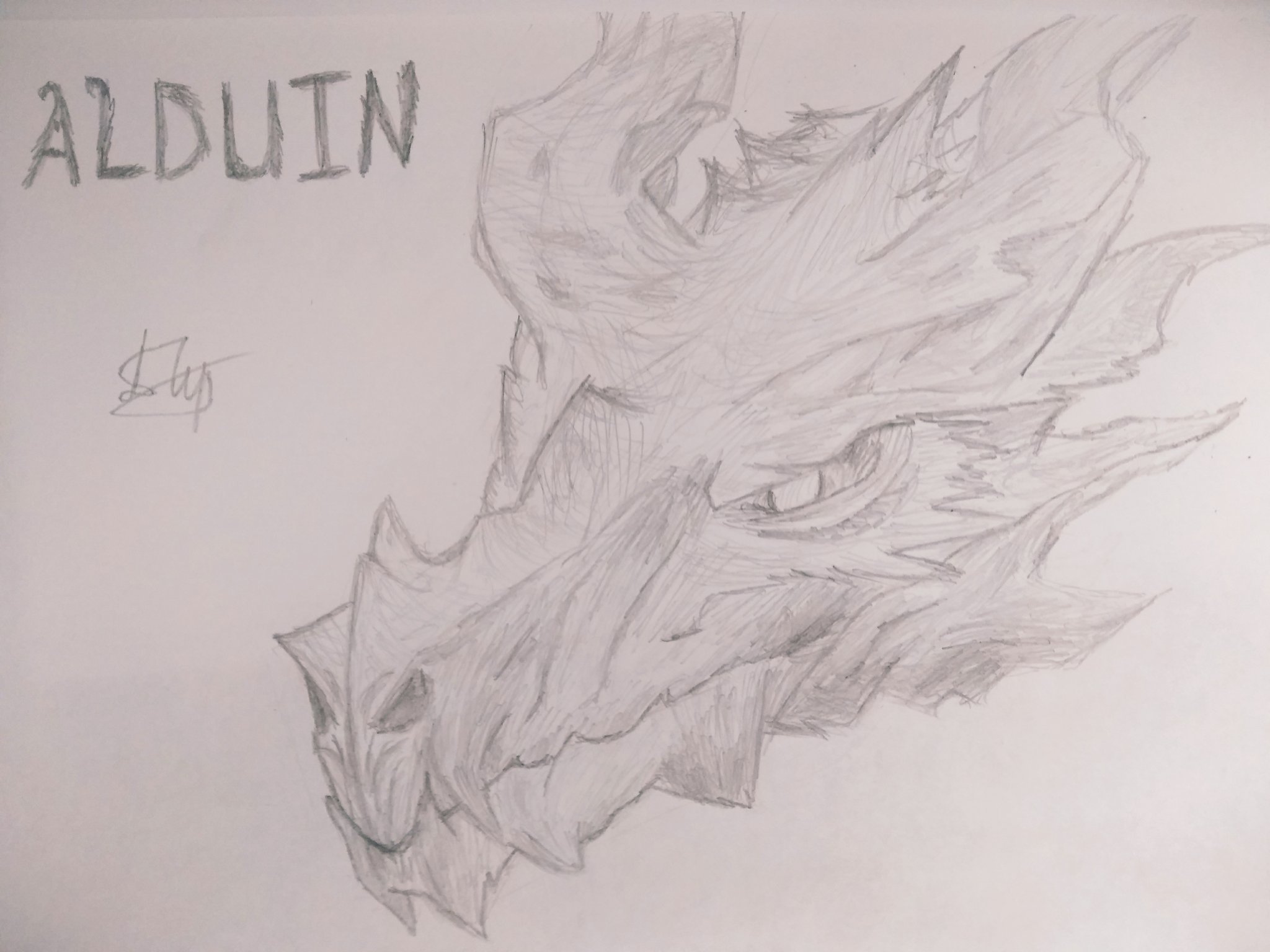 Alduin Head Drawing