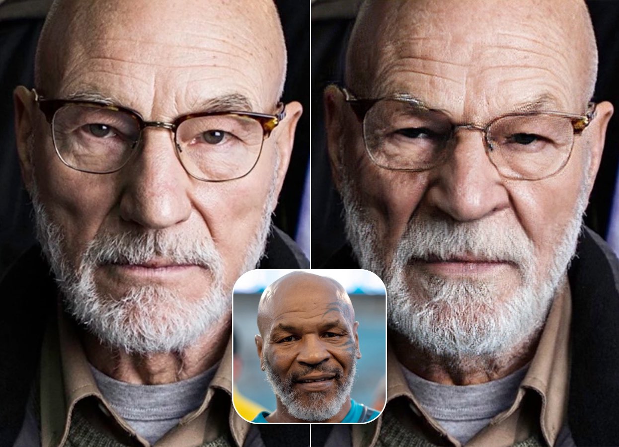 Patrick Stewart With Beard