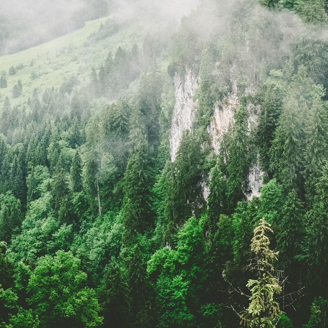 Penikmat binor: фотографии в высоком качестве