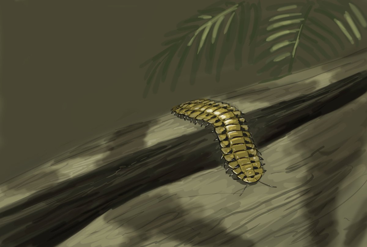 Twoucan - Joschua Knüppe (@JoschuaKnuppe)