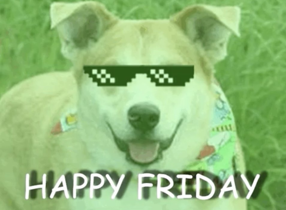Happy Friday Dog Gif