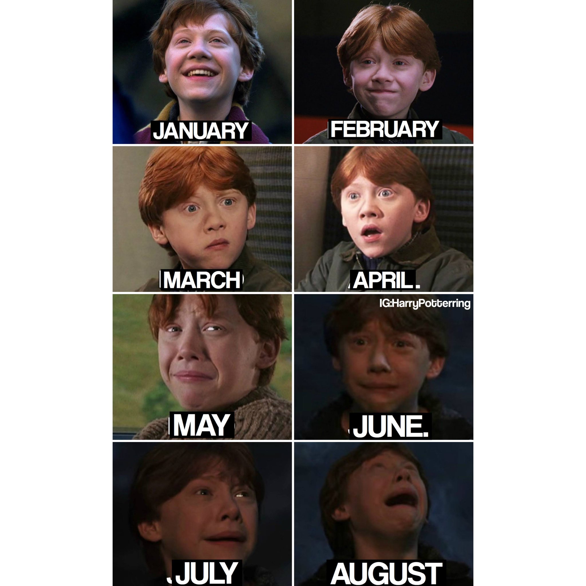 Ronald Weasley Memes