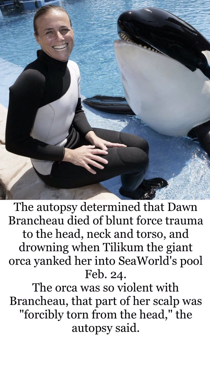 Daniel P Dukes Death