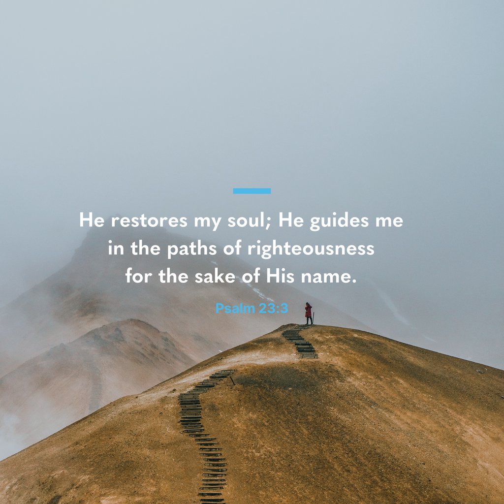 Psalm 23:3 Niv