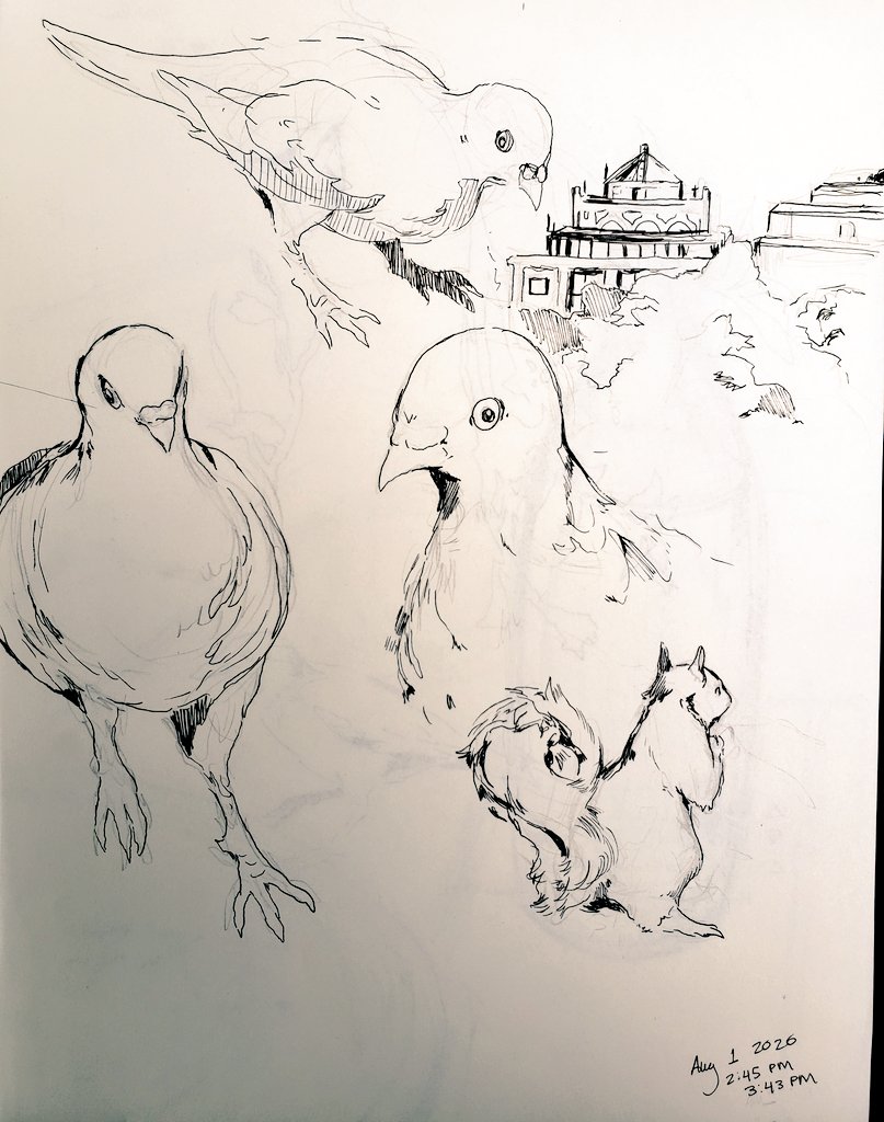 「life drawings 」sketchの漫画