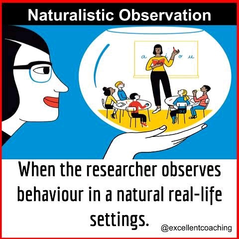 Naturalistic Observation Psychology Example