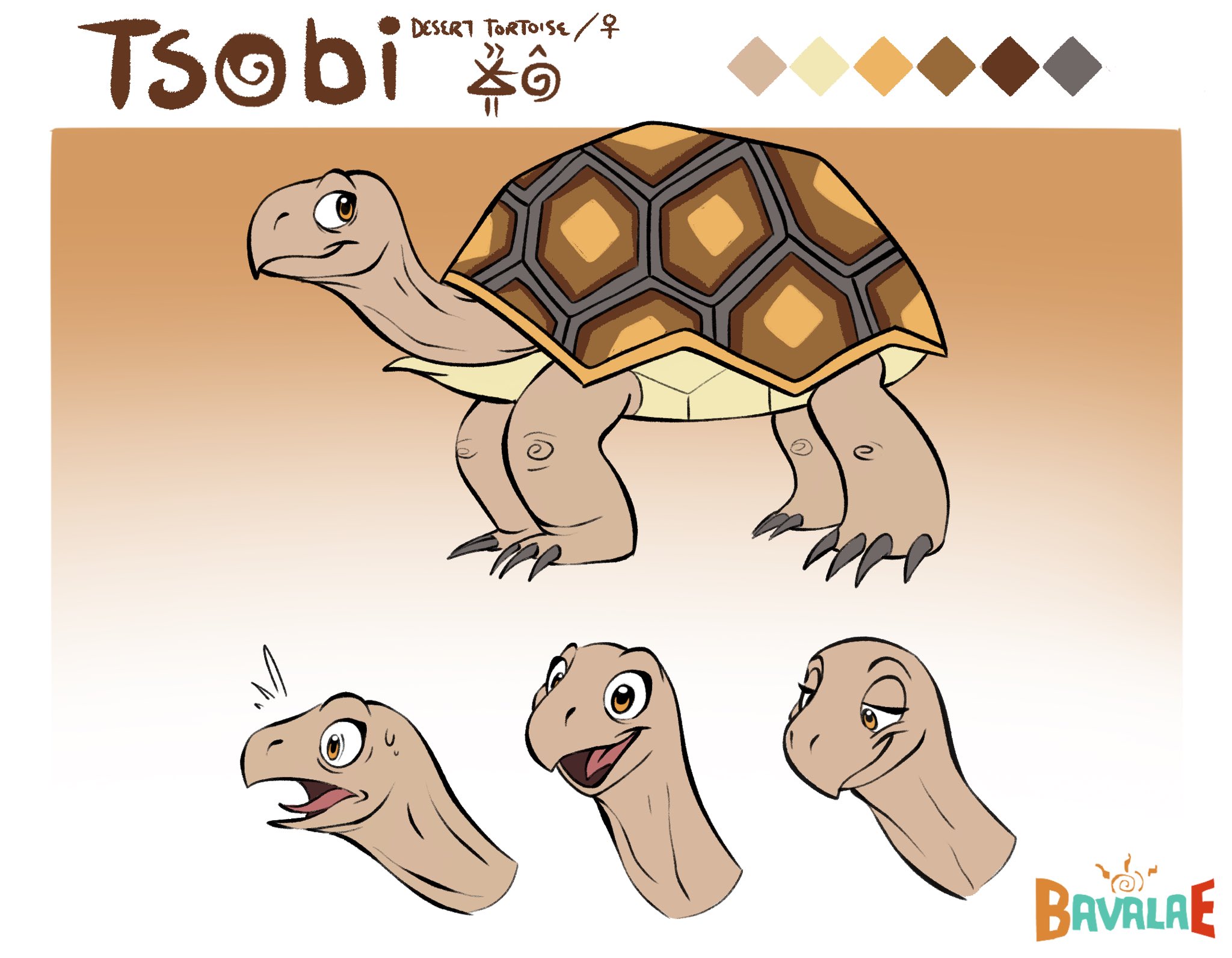 Desert Tortoise Drawing