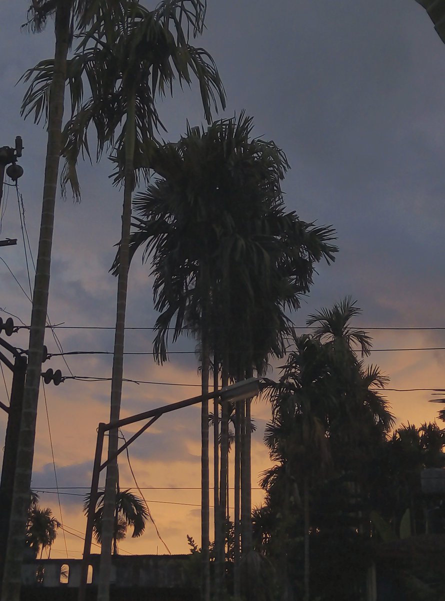 Violina Borah (@ViolinaBorah6) | Twitter