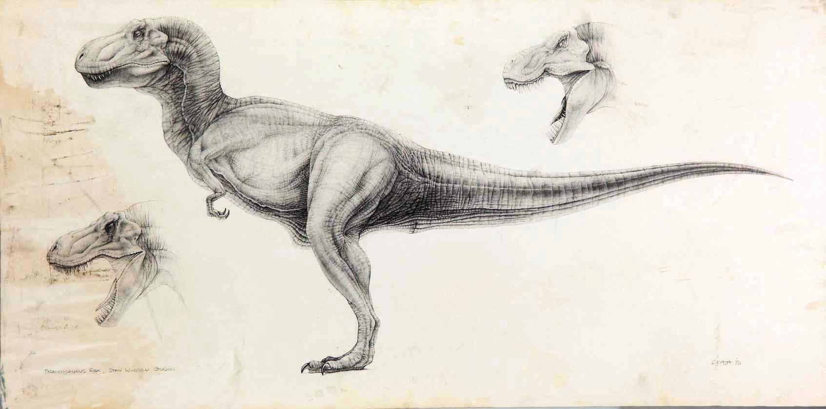 Jurassic Park Tyrannosaurus Rex Drawing