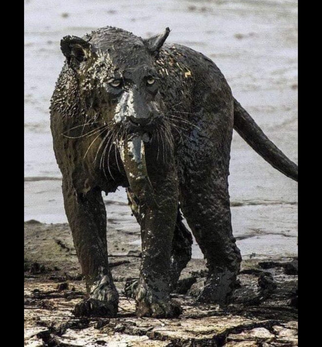 Yvonne Ochieng (@jodavon) | Twitter