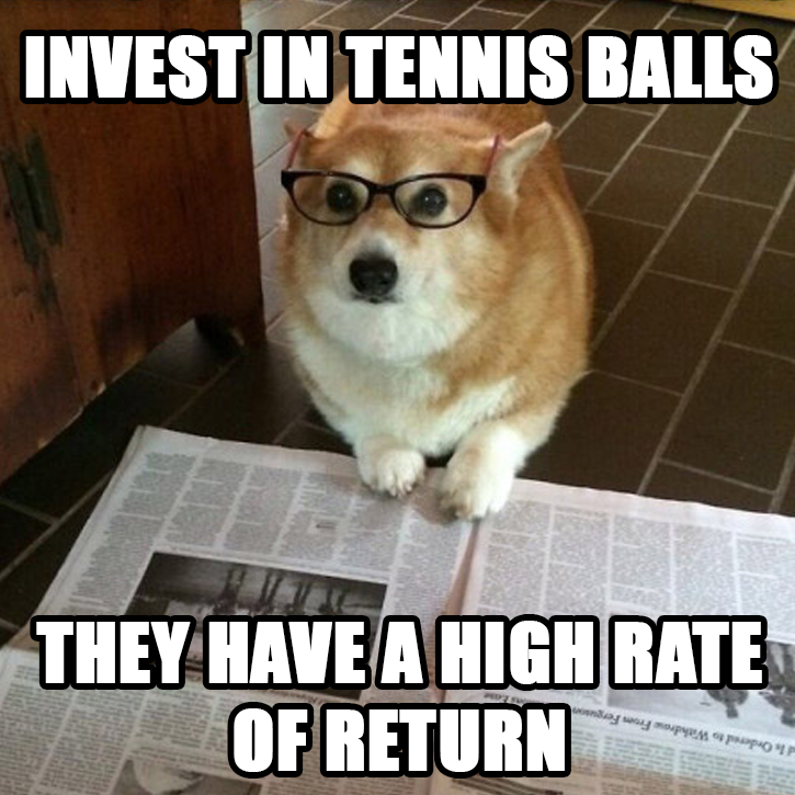 Financial Dog Memes
