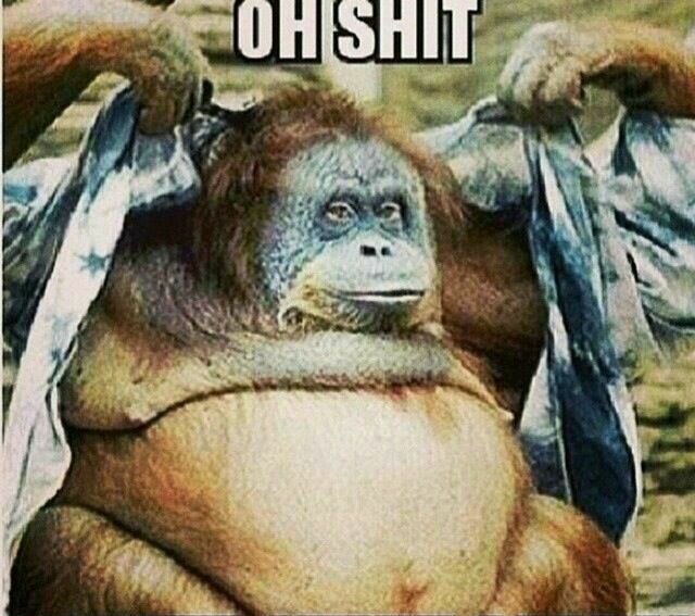 Hitman Monkey Meme