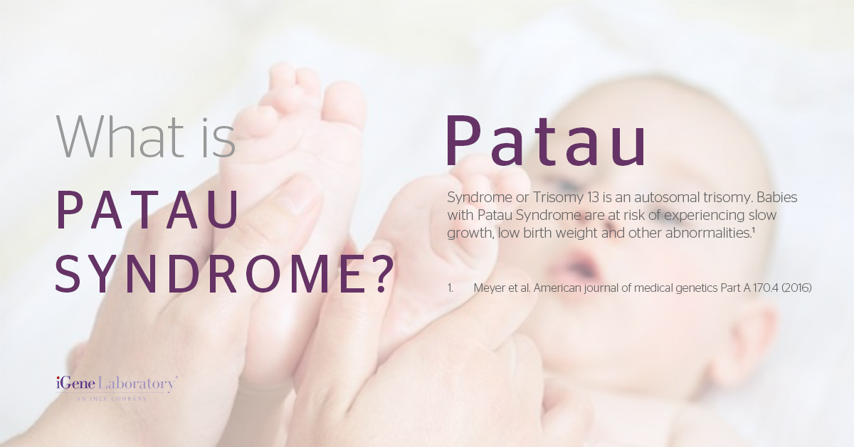 Patau Syndrome For Testing