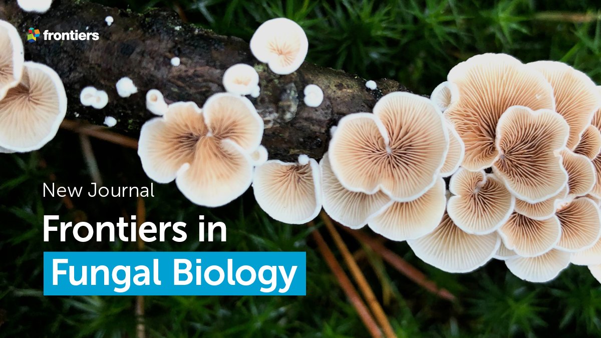 Fungal Biology