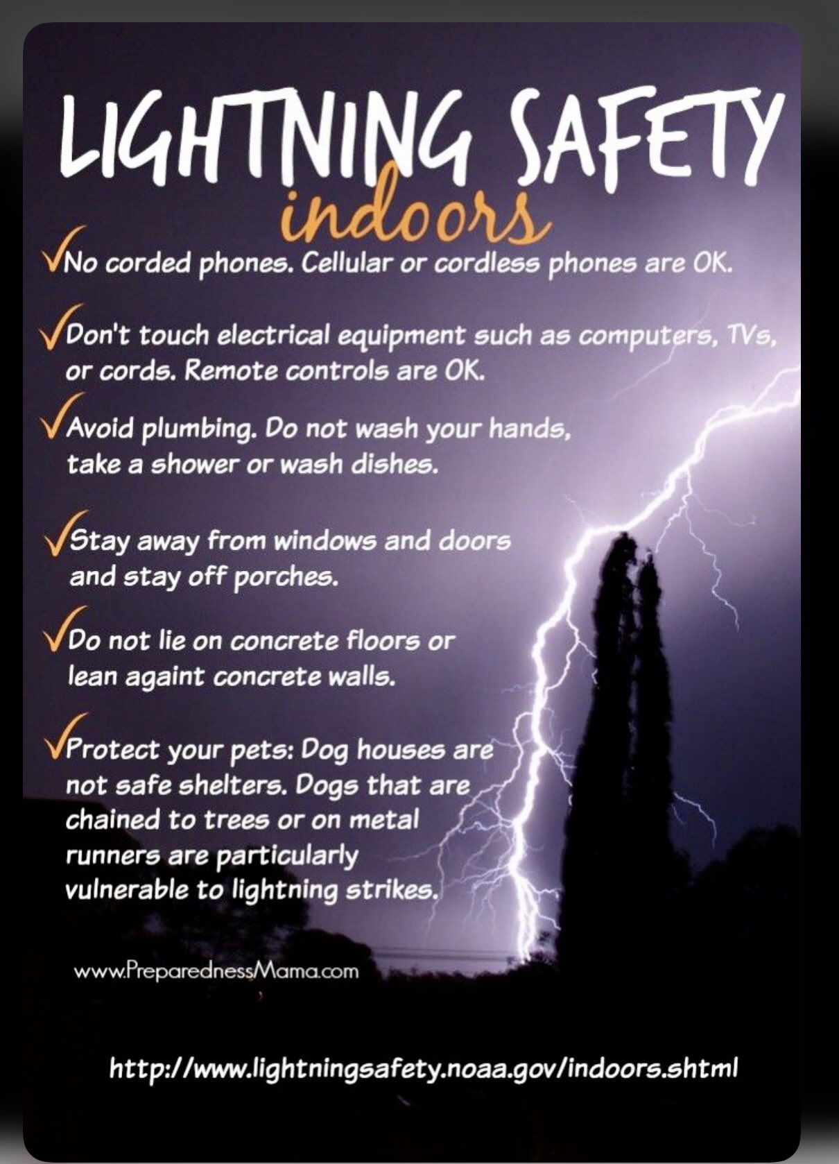 Struck By Lightning Book Quotes