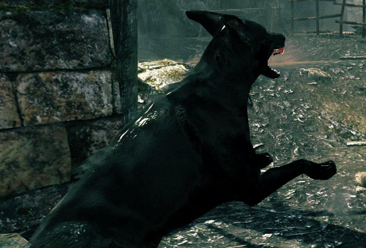 Call Of Duty Attack Dogs