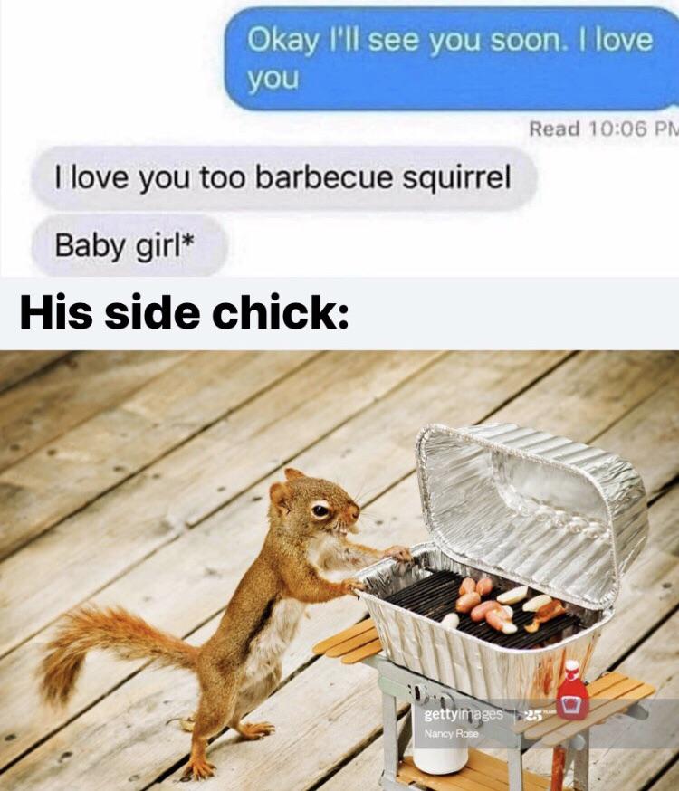 Squirrel Memes