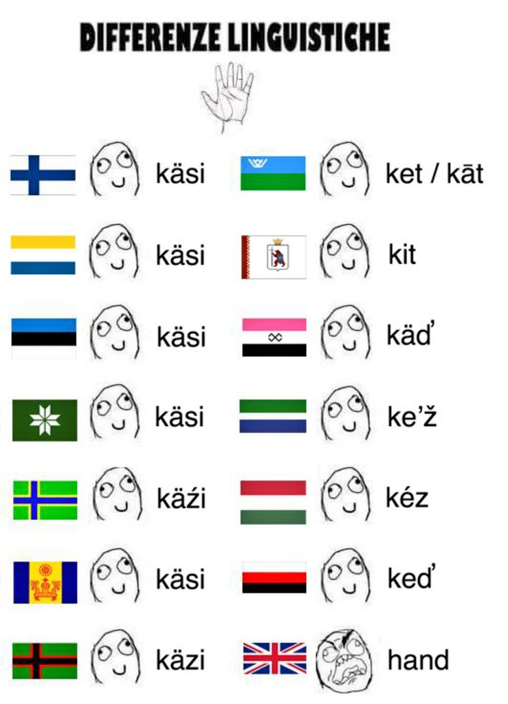 Language Differences Meme