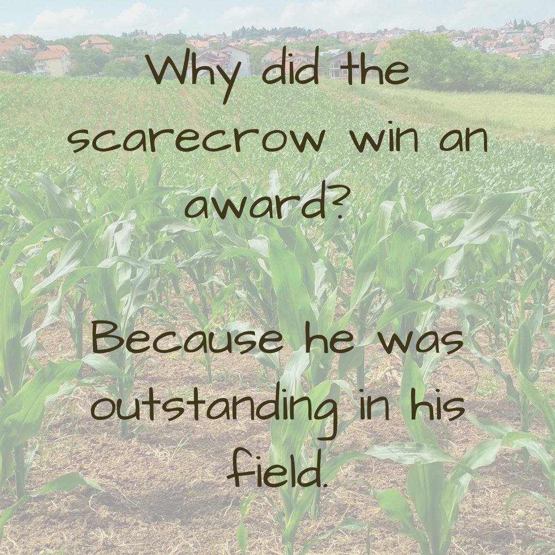 Scarecrow Funny Quotes