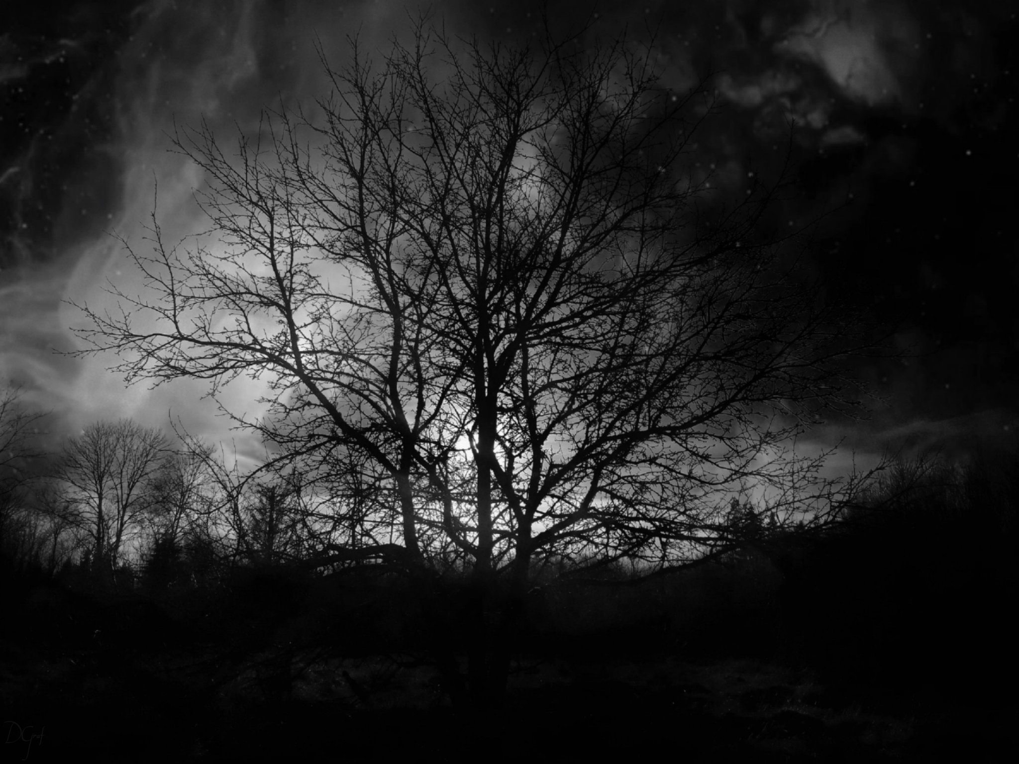 Dark And Light Nature