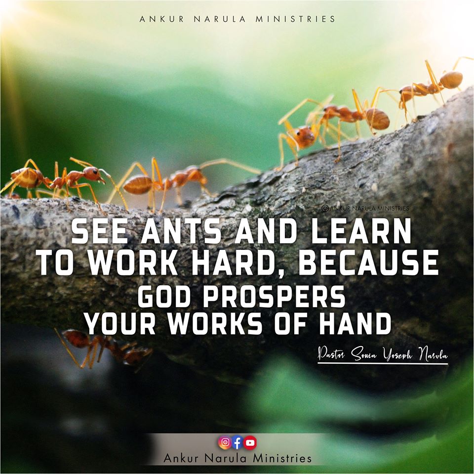 Hard Working Ants Quotes