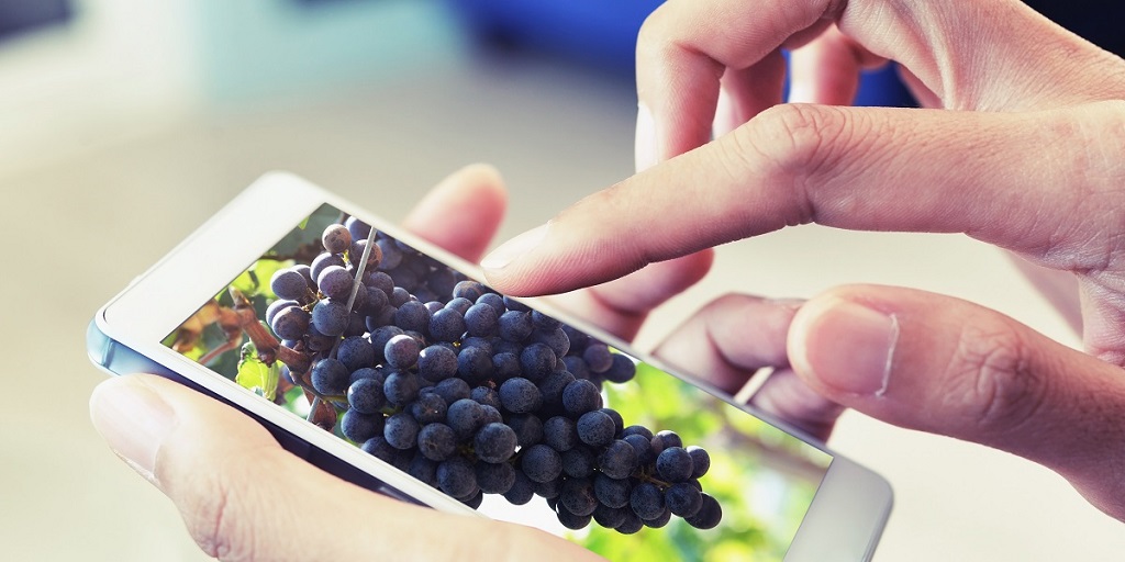 Patho Solutions (@PathoSolutions) | Twitter