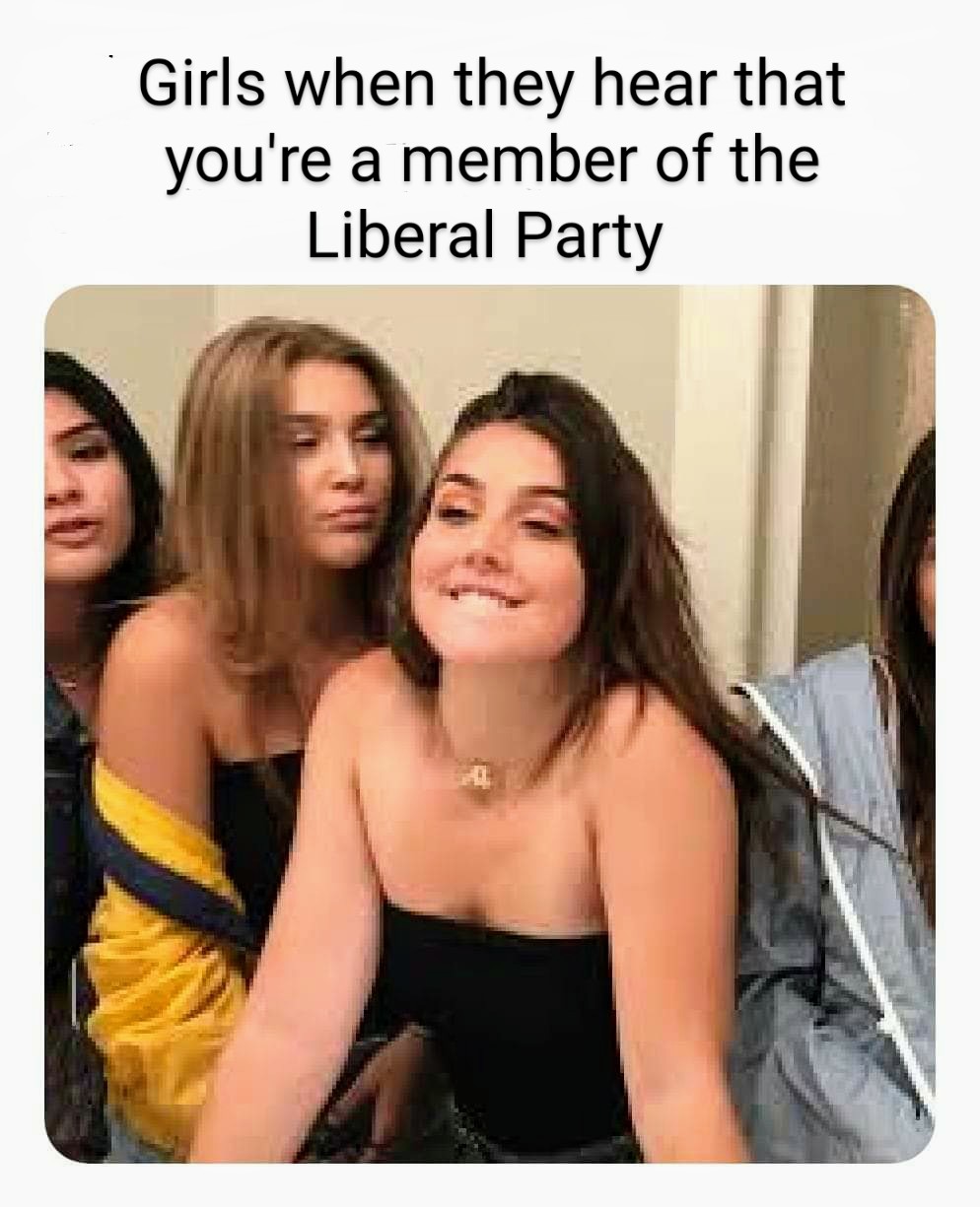 Liberal Meme Girl