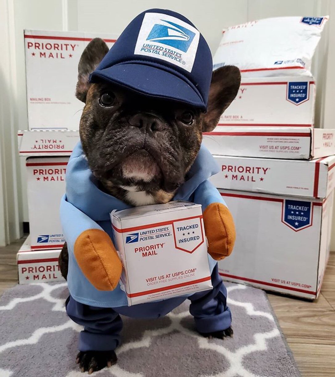 USPS Mail Carrier Costume California Costumes USPS Mail Carrier Dog ...