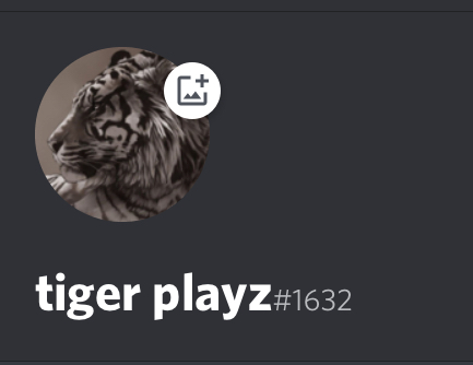 Tiger_Playz_YT (@tigerplayzYT3) | Twitter