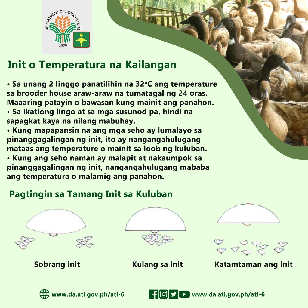 Bukid Sa Brgy Hanggan Calauan Laguna Tadhana Hanggan - vrogue.co Bukid Sa Brgy Hanggan Calauan Laguna Tadhana Hanggan - vrogue.co
