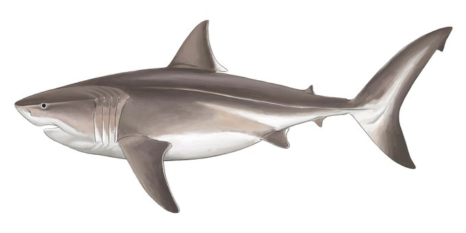 Oliver Demuth (@OliverDemuth) さんのイラスト・マンガ作品まとめ (15 件) - Twoucan