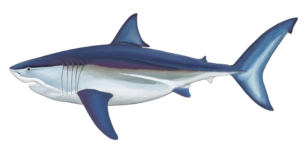 Oliver Demuth (@OliverDemuth) さんのイラスト・マンガ作品まとめ (15 件) - Twoucan