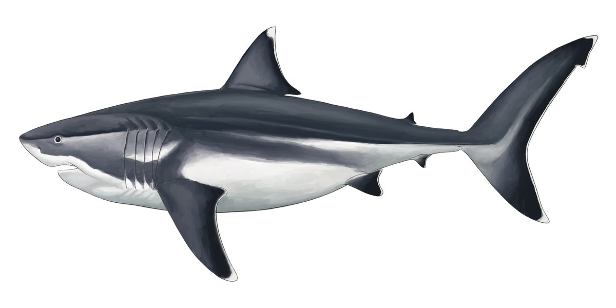 Oliver Demuth (@OliverDemuth) さんのイラスト・マンガ作品まとめ (15 件) - Twoucan