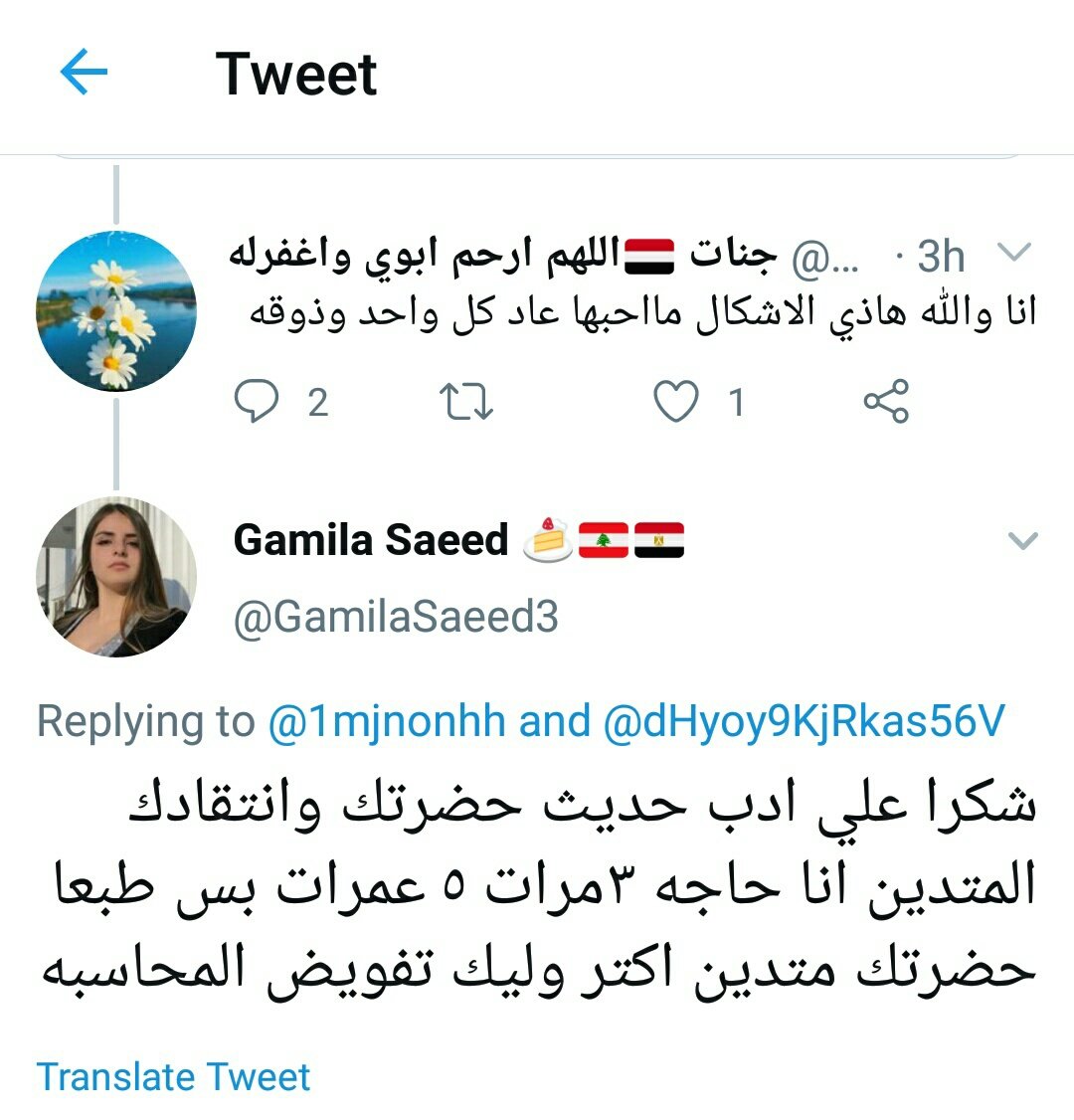 بنت مهدي 😚 محامية رولا الحلبي On Twitter 12 فضيحة جديدة لجميلة سعيد الحرامي جميلة سعيد يسرق