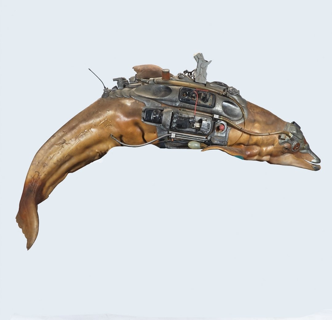 Johnny Mnemonic Dolphin