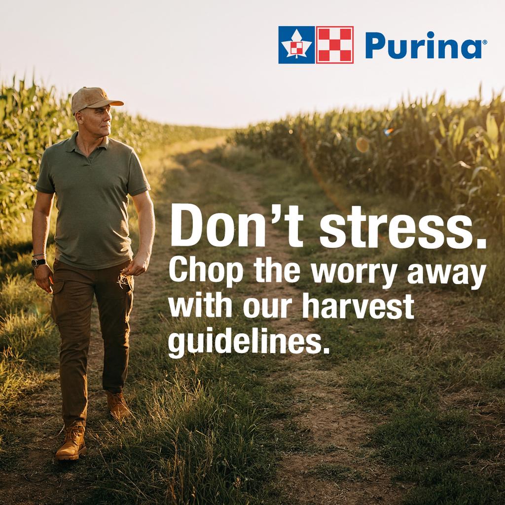 Plain Folks Appeal Ads