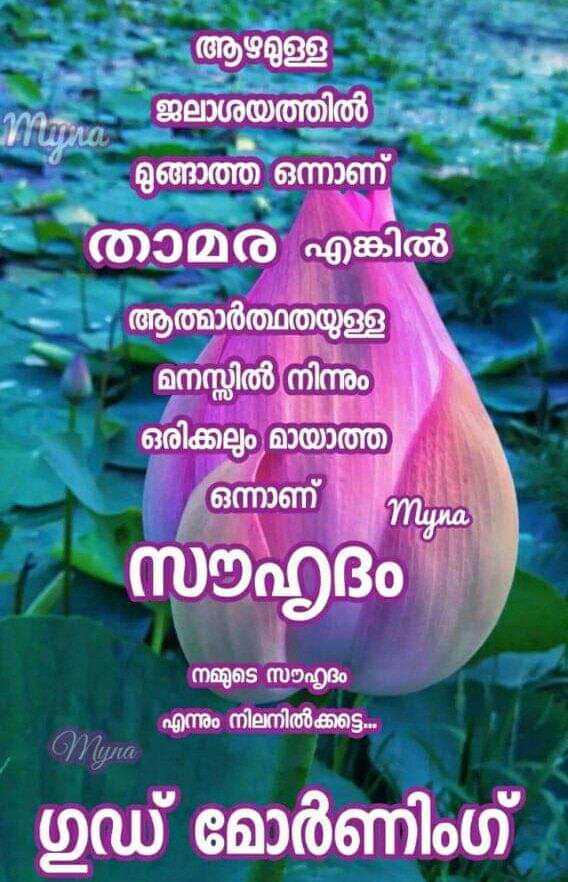 Sneham Malayalam Quotes