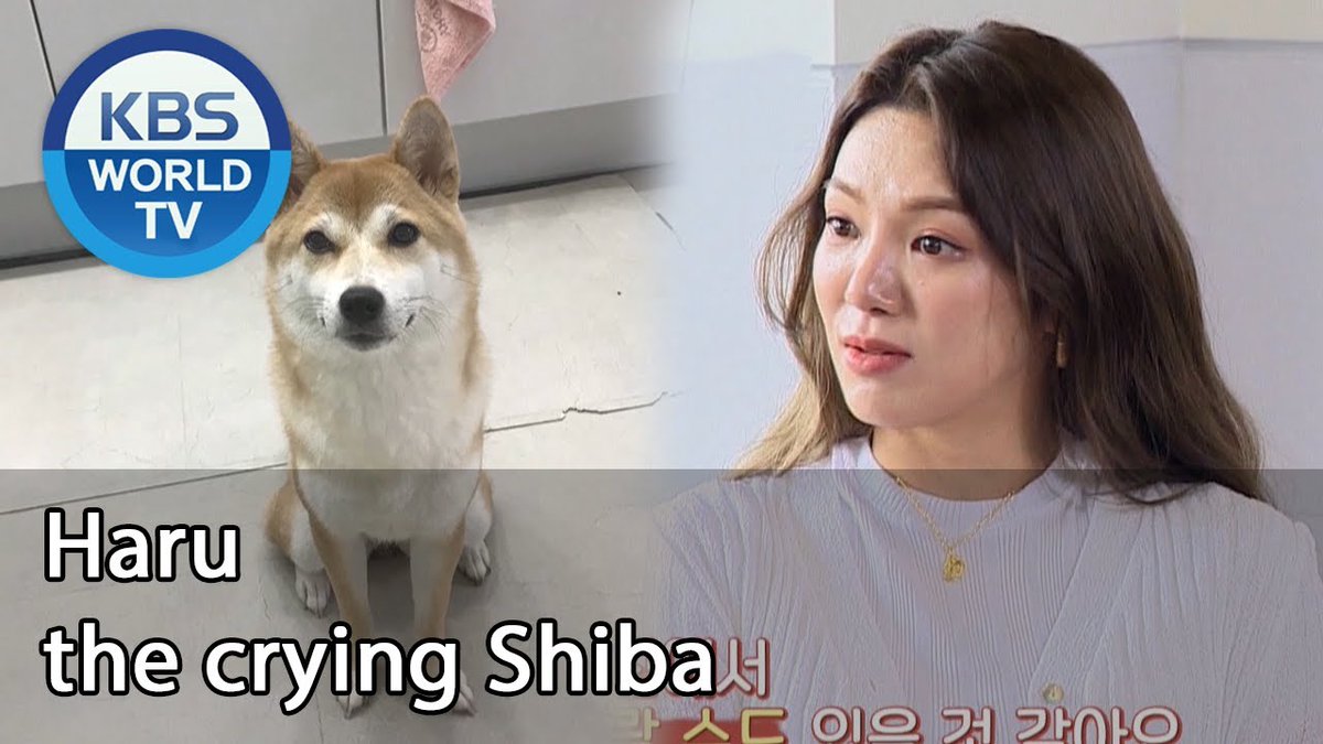 [ENG SUB] Girls' Generation (SNSD) Hyoyeon shows off her pet dogs @ KBS ...