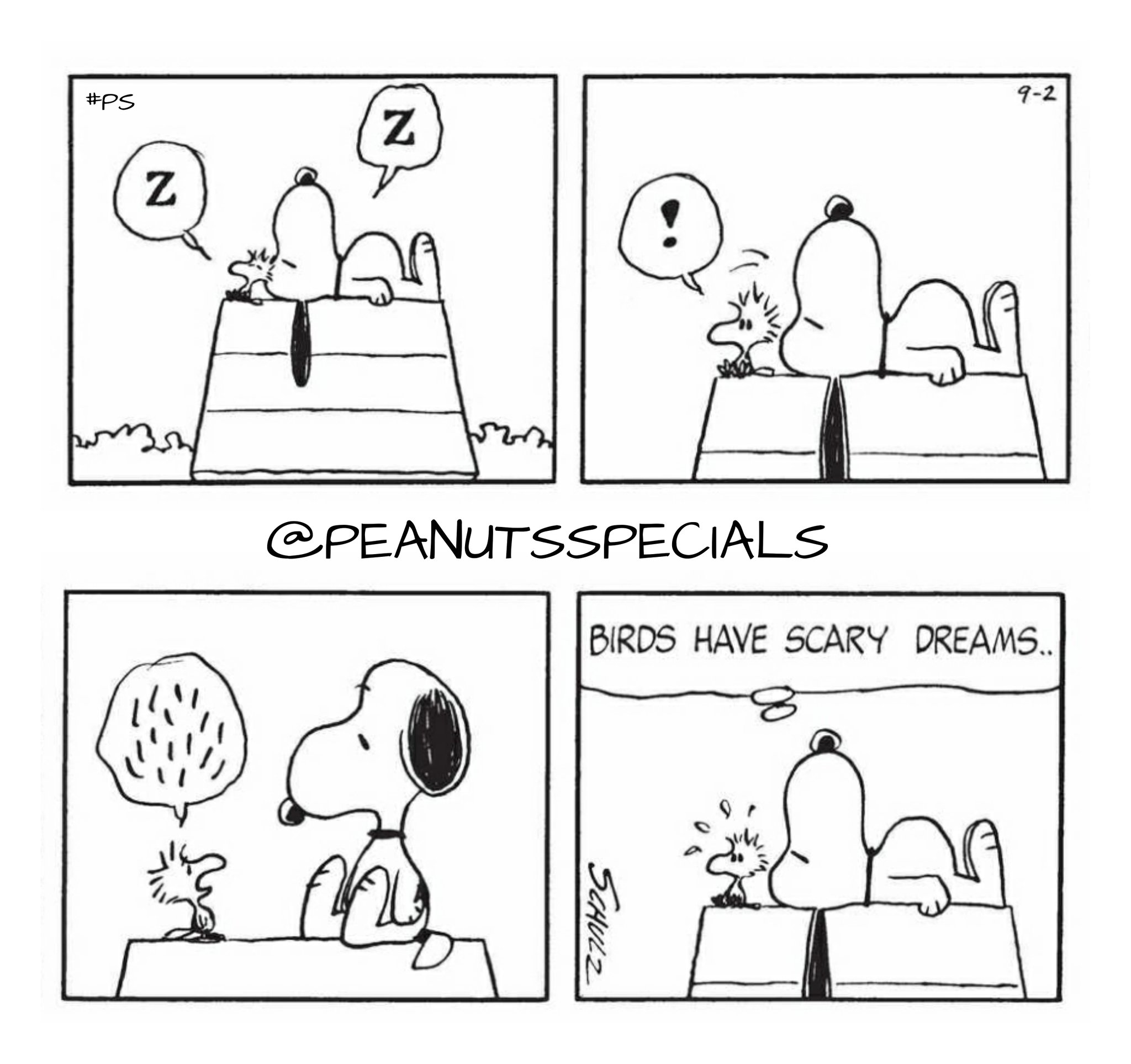 Snoopy Scared