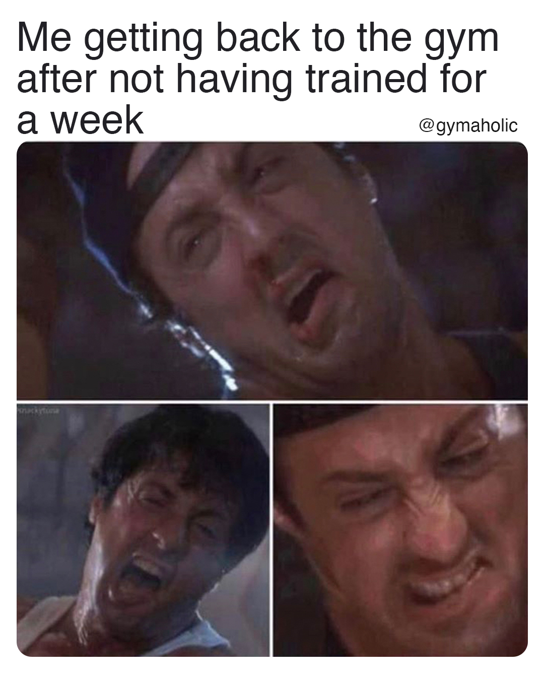 Back Gym Memes Bro Really Ascended 💀 , ., ., ., ., #memes #gym