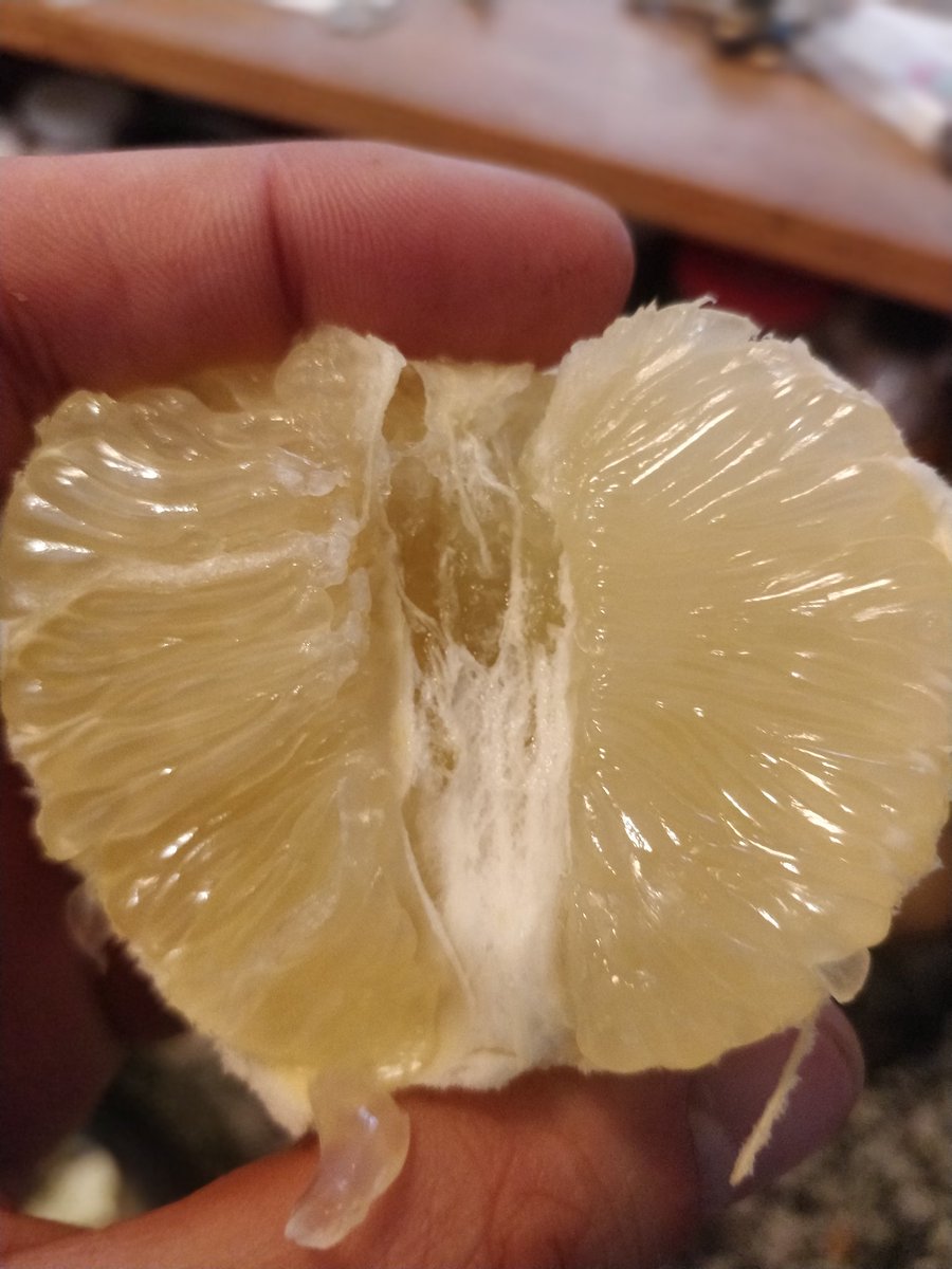 Fruta Lima En Mexico