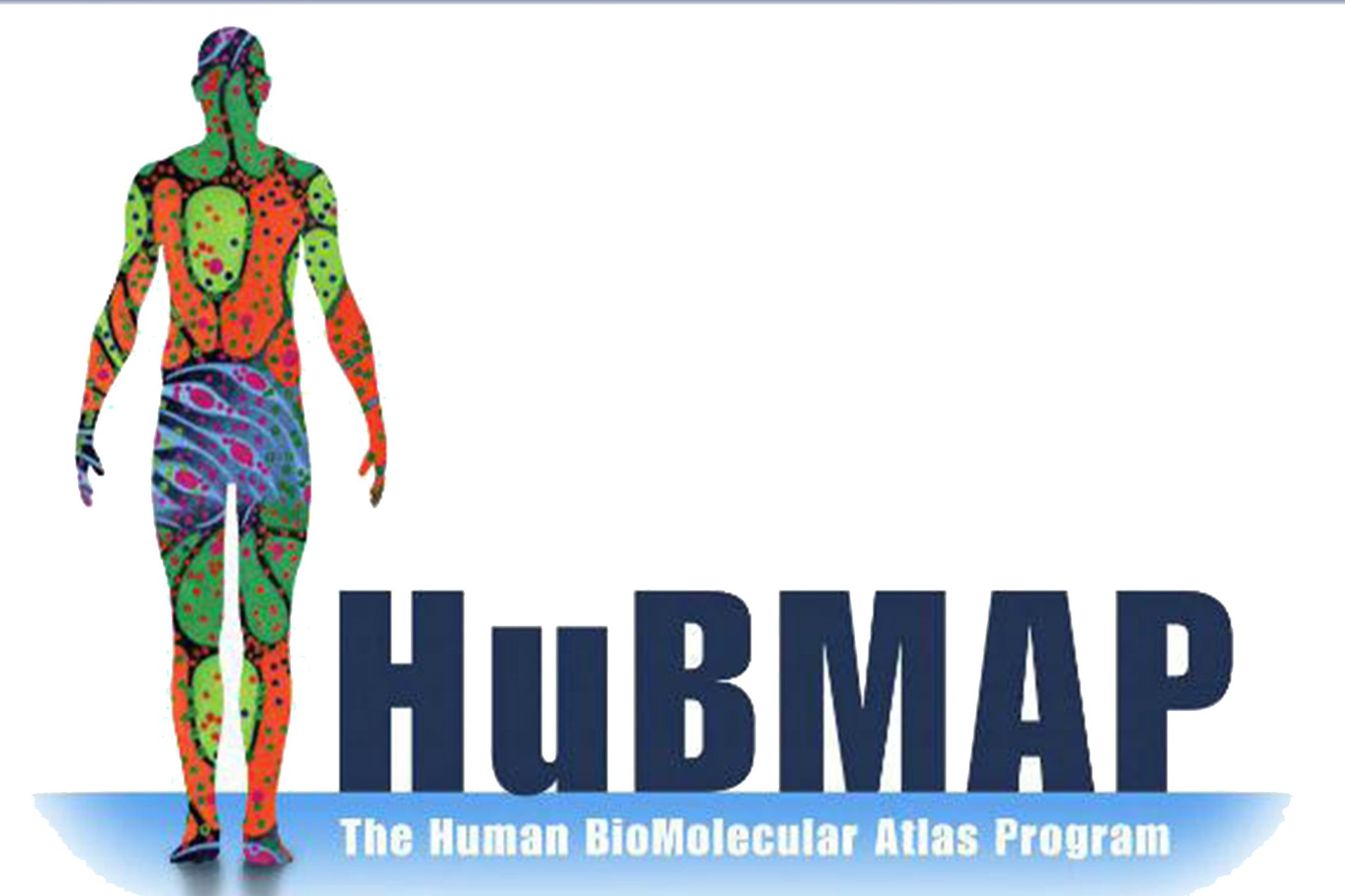 Computational Biology Department | Carnegie Mellon on Twitter: ".@_hubmap (the Human ...