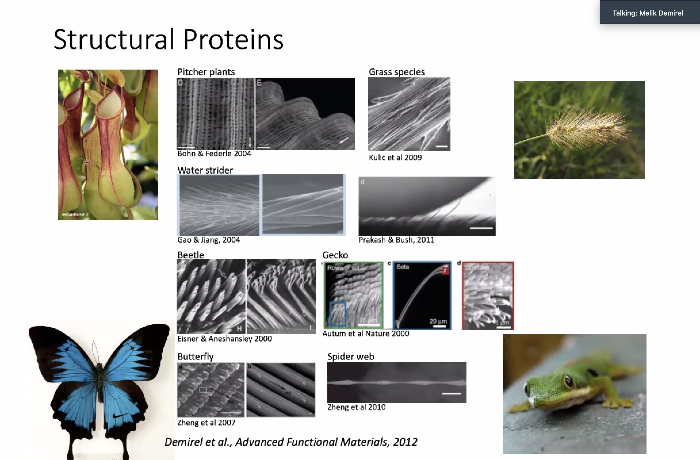 Nature Vs Man Made Structures