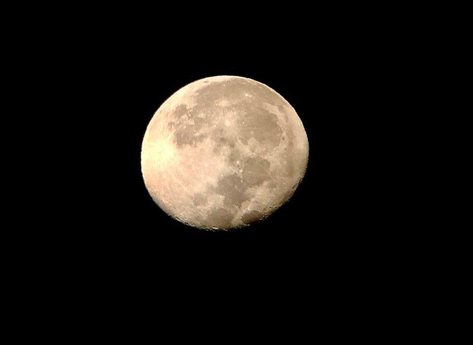 Astronomiaum 🌎🚀 on Twitter: "Hoje é noite de Lua cheia, a noite todo mundo postando a #OlhemALua ...