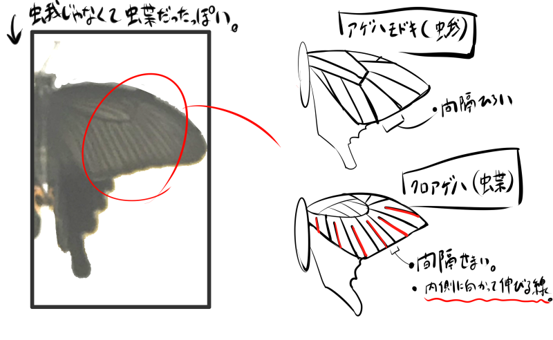 「メモメモ 」mine/C103【2日目：東ル-21a】の漫画